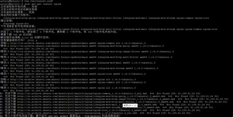 运行sudo apt get install nginx时报错有几个软件包无法下载，要不运行 apt get update 或者加上
