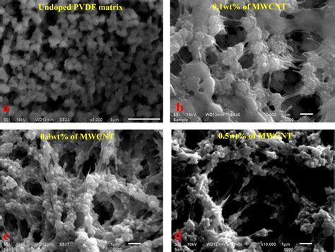 Micrographs Of Pvdf Nanocomposite Membranes With Cooh Functionalized Download Scientific
