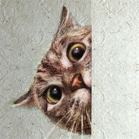 Peekaboo Kitty Youtube