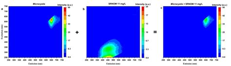 Factors Affecting The Interpretation Of Online Phycocyanin Fluorescence