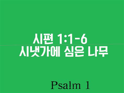 시편 1 1 6 강해설교 시냇가에 심은 나무