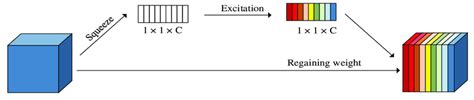 Squeeze And Excitation Structure Download Scientific Diagram