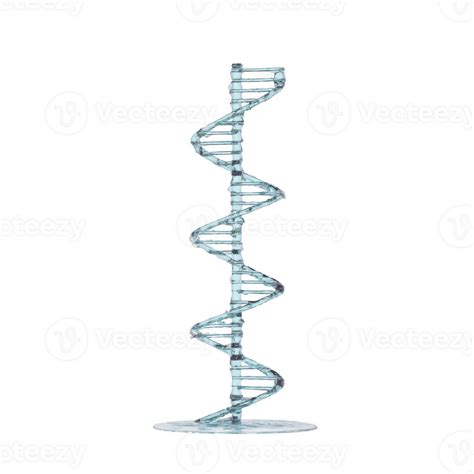 3d Model Of Dna Double Helix Structure Showcasing Iconic Twisted