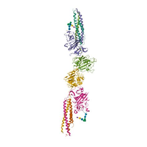 Rcsb Pdb 3h32 Crystal Structure Of D Dimer From Human Fibrin Complexed With Gly His Arg Pro