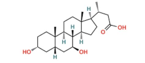 Nor Udca Kimia Kimia Biosciences Limited Cphi Online