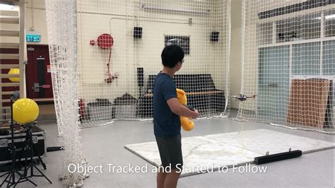 Dynamic Object Tracking On Autonomous Uav System For Surveillance