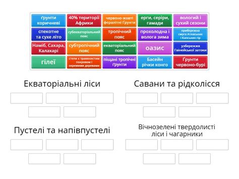 Природні зони Африки географічне положення клімат грунти Group Sort