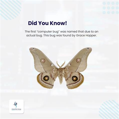 Hviewtech Group On Linkedin Facts Didyouknow Didyouknowfacts Didyouknowfactsforyou Software