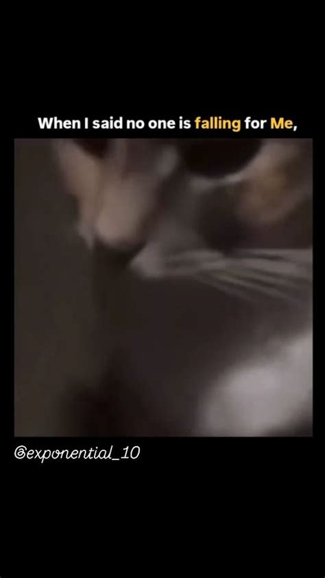 Exponential Memes True 🥲 Meme Memes Funny Friends Friendship