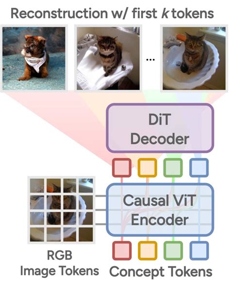Researchers Design More Compact And Interpretable Image Tokenization Method