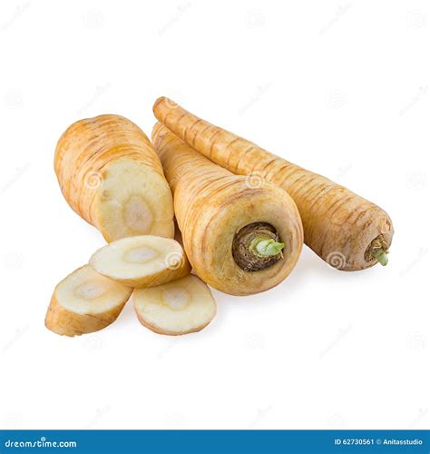 Parsnip Root Vegetable Stock Image Image Of Natural 62730561