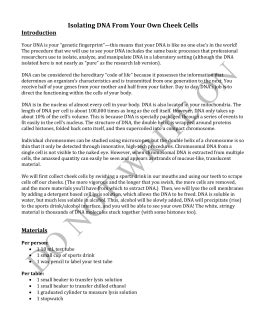 Sample Lab Report DNA Extraction From Cheek Cells