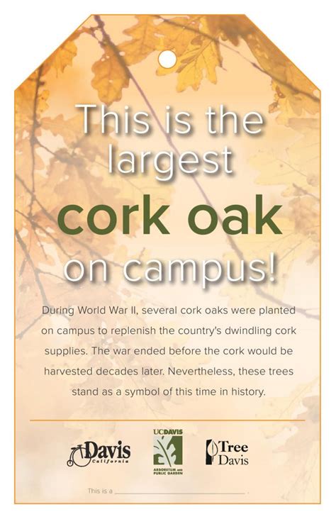 Babes Tag Trees Raise Earth Day Awareness UC Davis Arboretum And Public Garden