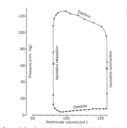 PV Loops Diagram Quizlet
