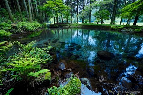 写真家ヒロクマのブログ えびのno湧水
