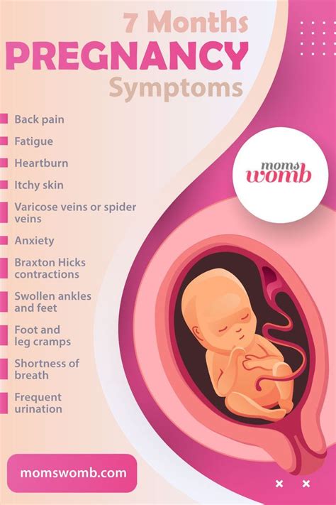 7 Months Pregnant Symptoms And Fetal Development Pregnancy Brain