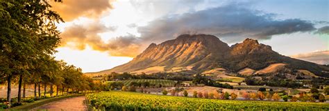 Activities Guided Tours And Day Trips In Stellenbosch Civitatis
