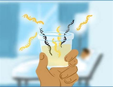 Longcell Single Cell And Spatial Alternative Splicing Analysis With Nanopore Long Read