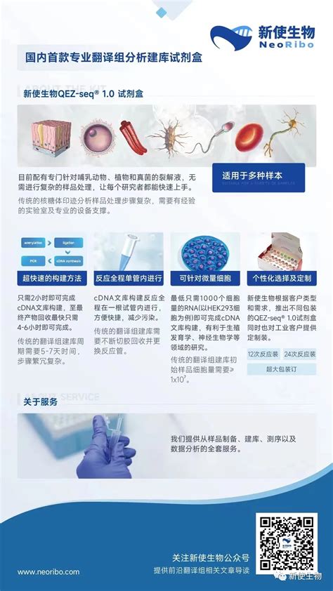 Nc Ribo Seq应用：叶绿体前体蛋白过量积累导致热激反应和基因表达重编程 生物学堂 新使生物公司官网 让核糖体印迹分析变得更简单