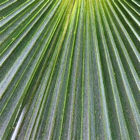 Matrixsynth Light Vortex Arcseconds