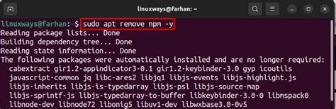 How To Install NPM On Ubuntu LinuxWays