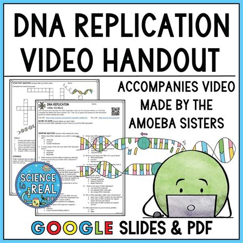 Amoeba Sisters Dna Chromosomes Genes And Traits Worksheet Answers