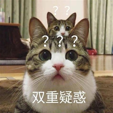 沙雕幽默搞笑表情包图片 设计幽默搞笑图片 乐美图网