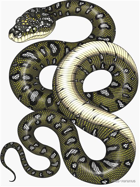 Diamond Python Sticker For Sale By Miss Varanus Redbubble