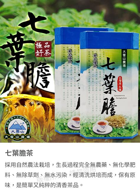 大雪山農場七葉膽茶X2罐 3gX30包 罐 松果購物