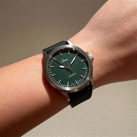 Robin Wc Watchcrunch