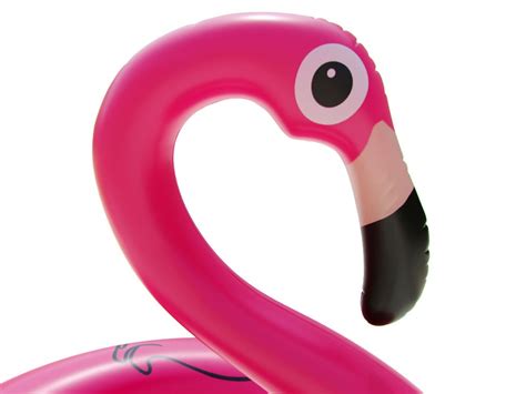 Inflatable Flamingo Float 3d Model 12 Max Obj 3ds Fbx Free3d