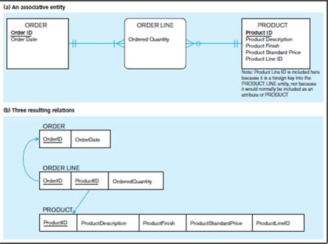 Conceptual Data Modeling Pt I Flashcards Quizlet