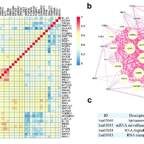 Interactions And Relationships Among Clinically Relevant Splicing