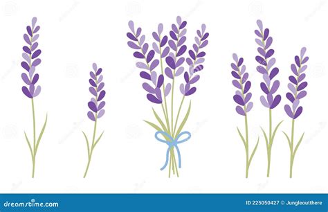 Lavender Bunch Vector Floral Frame 73219235