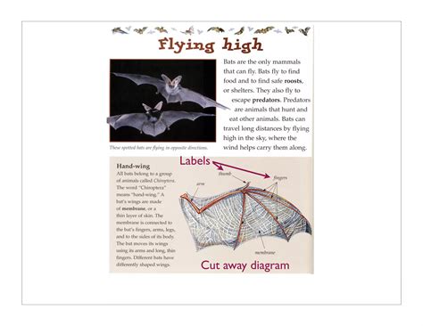 Informational Text Powerpoint Pdf