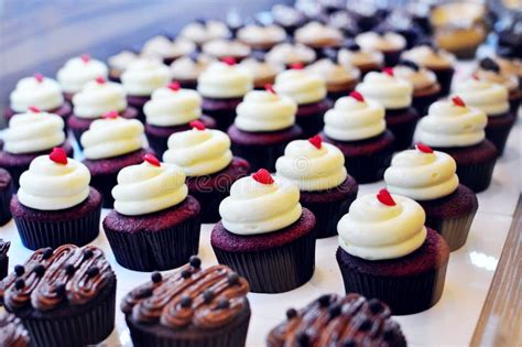 Arrays Of Cute Cupcakes Stock Image Image Of Hobby Frosting 31339535