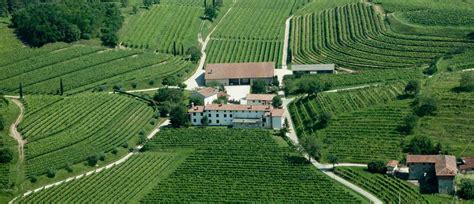 Ermacora Premariacco Udine