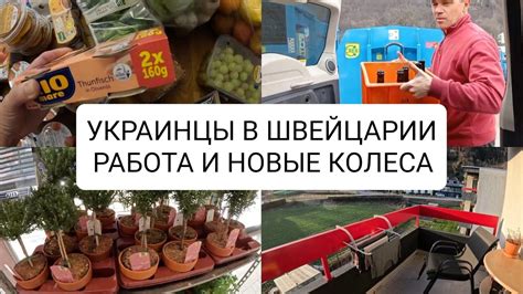 Беженцы 🇺🇦 в Швейцарии 🇨🇭 здесь тоже можно торговаться - YouTube