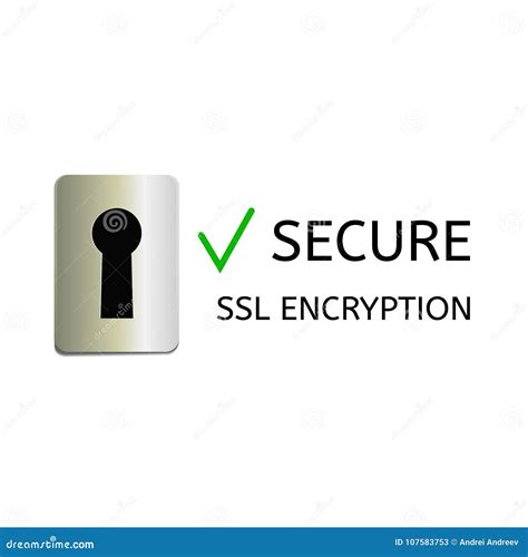 Secure Internet Connection Ssl Icon Stock Vector Illustration Of Internet 107583753