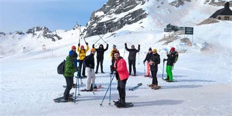 Visual Search Api Object Detection Api Product Recognition Api