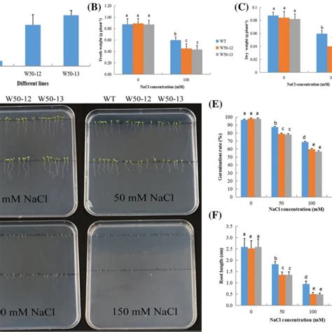 Subcellular Localization Expression Pattern And Transcriptional Download Scientific Diagram