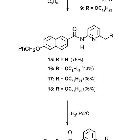 Scheme 3 Synthesis Of The Target Compounds 19 22 Download