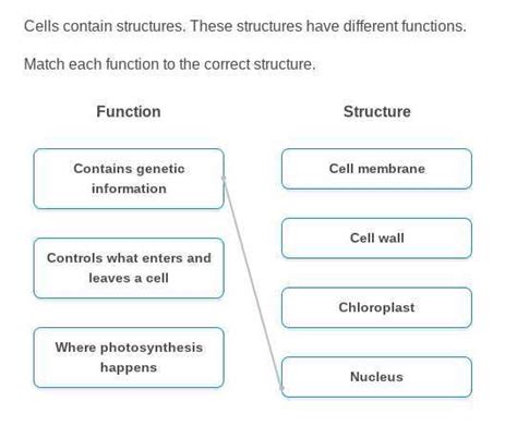 Cells Contain Structures These Structures Have Different Functions