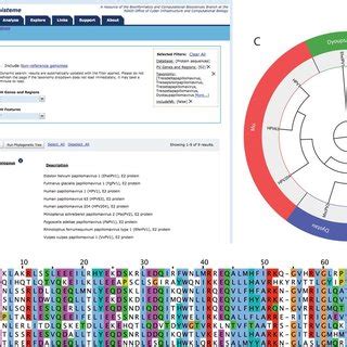 Integrated Calculation Of Multiple Sequence Alignments And Phylogenetic Download Scientific