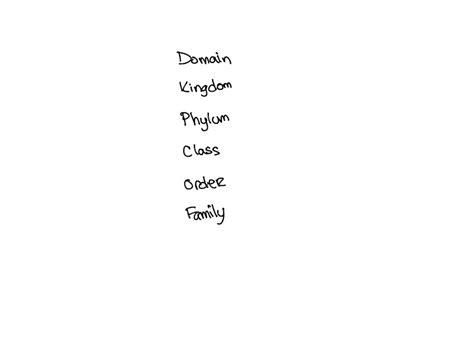 Solved Which Level Of Organization In The Classification System Is