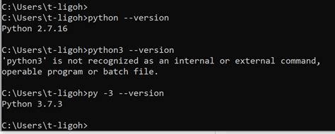Flask Cannot Start Application On Windows · Issue 797 · Microsoft