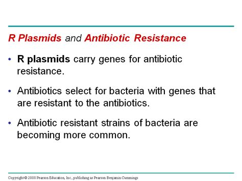 Experiments Using Prokaryotes Have Led To Important Advances In Dna Technology Prokaryotes Are The