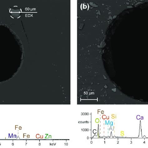 Binary Image B Generated By Digital Image Processing From A Sem Image