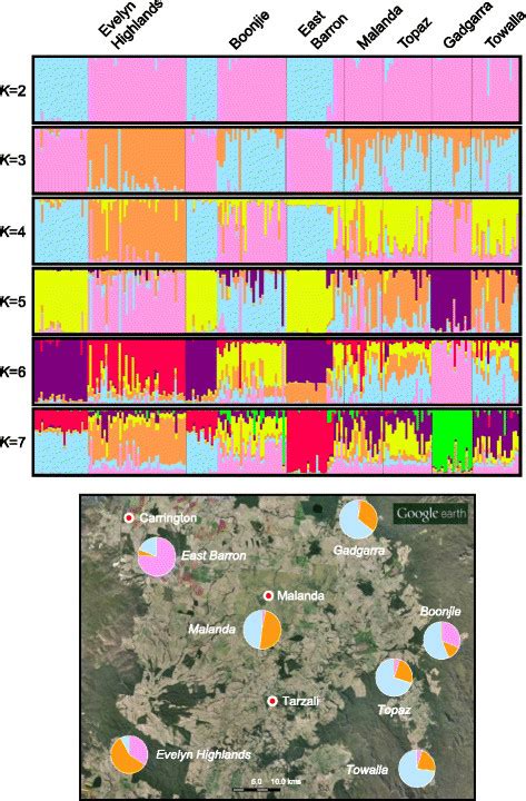 Admixture Bar Plots Representing The Identity Of Individuals Based On