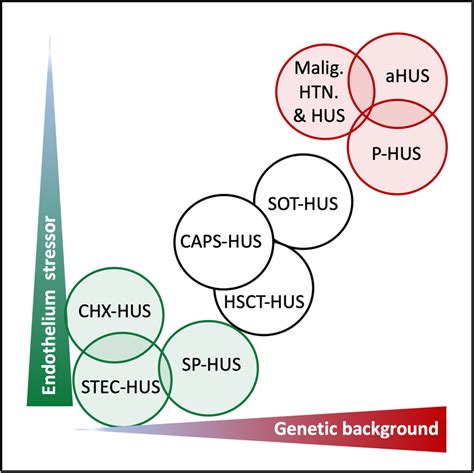 Contribution Of Genetic Susceptibility And Environment‐induced